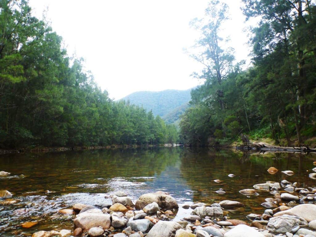 Movie Review - The Man from Coxs River Movie - LotsaFreshAir