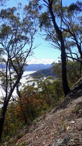 Green Gully Track - Trip Report - Part 1 - Lotsafreshair