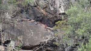 Green Gully Track - Trip Report - Part 2 - Lotsafreshair