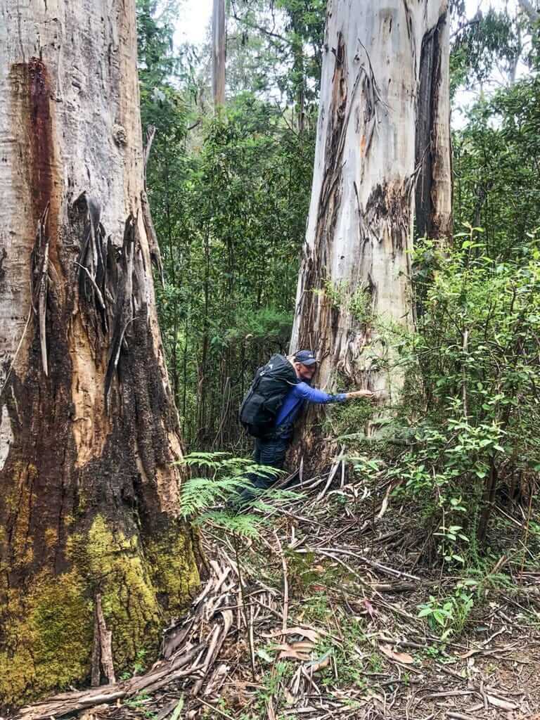 Mt Stirling via Delatite River Trail - Mt Buller Hiking - Lotsafreshair