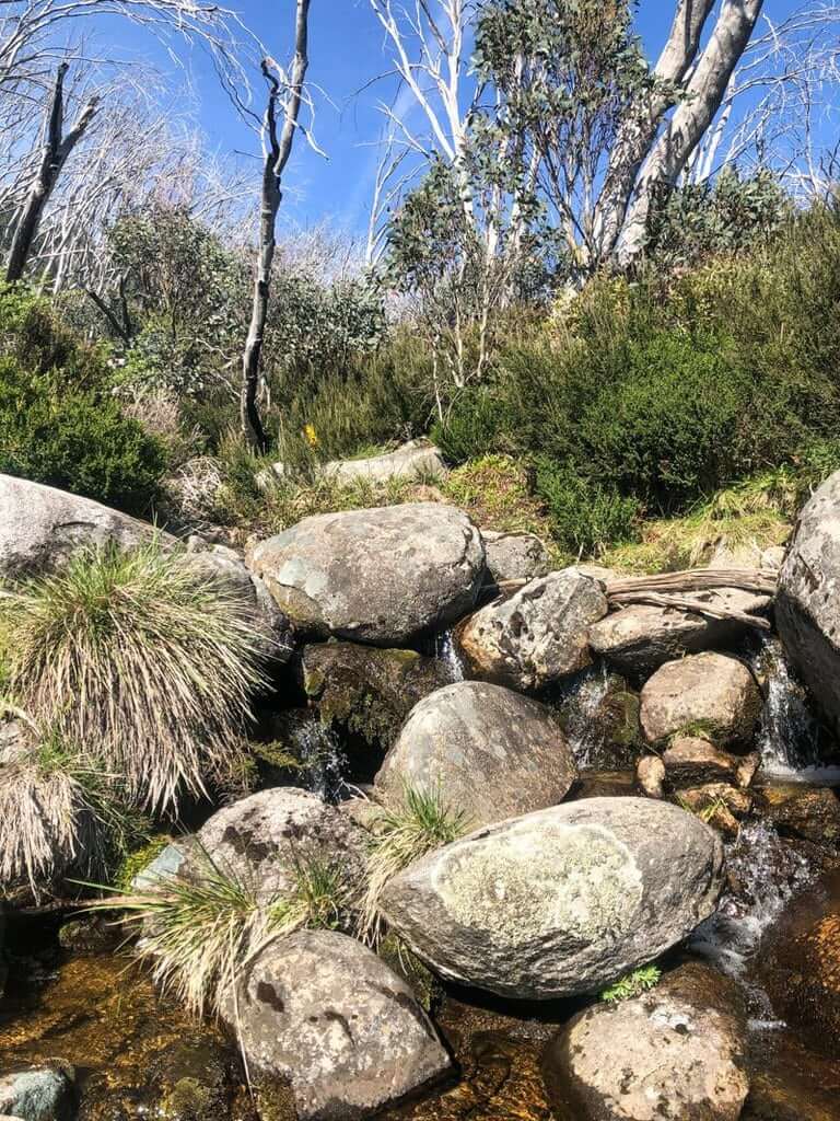 The Fainters via Tawonga Huts and Pretty Valley - Falls Creek 2 Day Hike