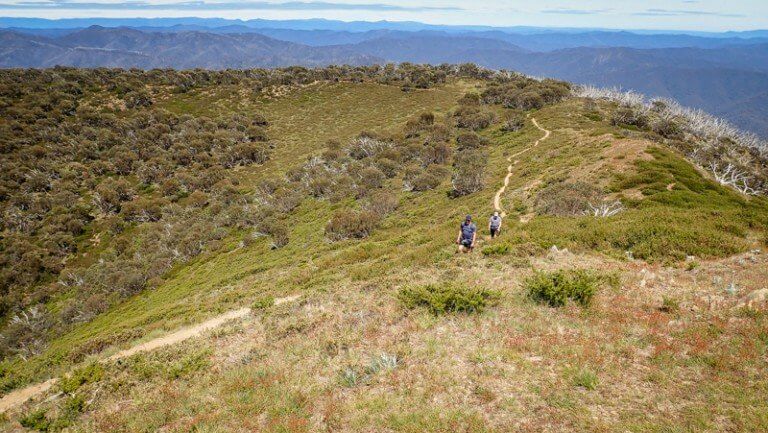 Hiking The Razorback Hotham to Harrietville - Lotsafreshair