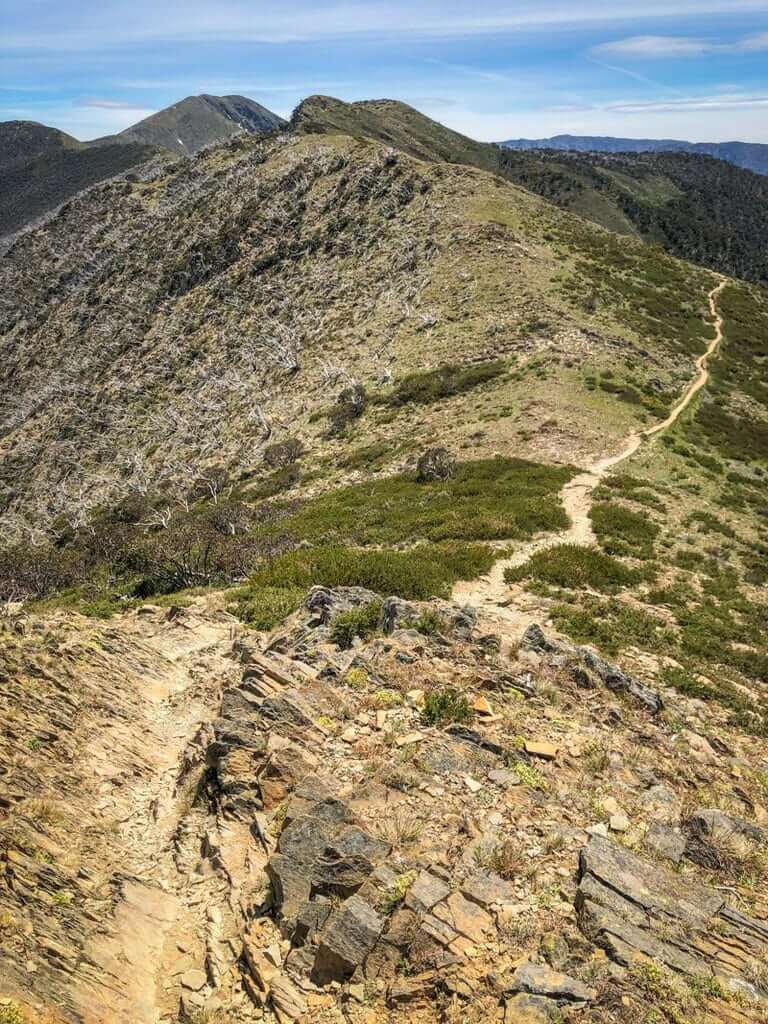 Hiking The Razorback Hotham to Harrietville - Lotsafreshair