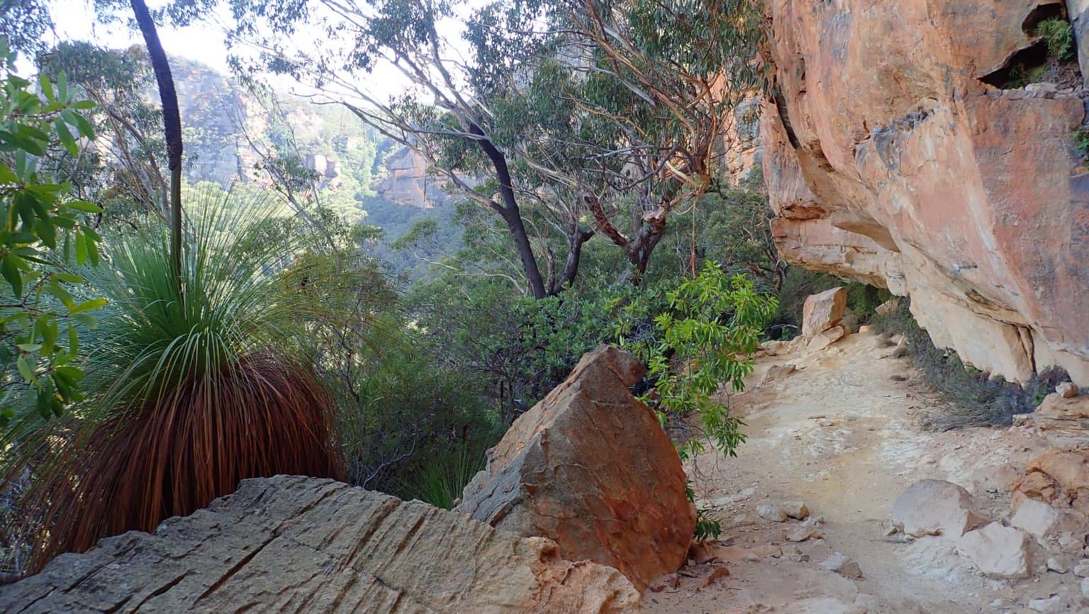 Best Hikes of the Blue Mountains - Porters Pass and Colliers Causeway ...