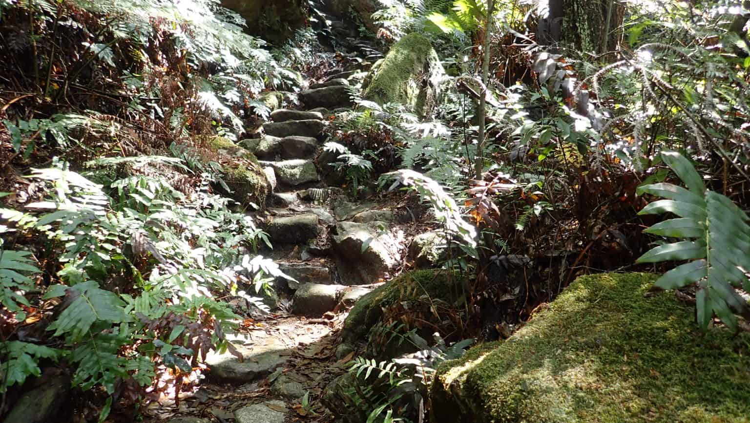 Best Hikes of the Blue Mountains - Porters Pass and Colliers Causeway ...