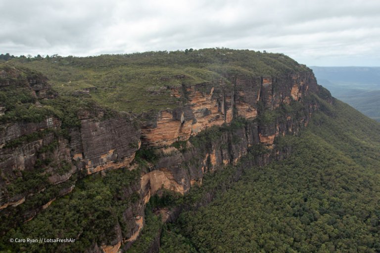 Food lovers guide to the Grand Cliff Top Walk Blue Mountains ...