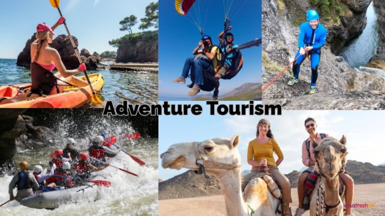 Career Paths in the Outdoors Sector: A Comprehensive Guide to Jobs in ...